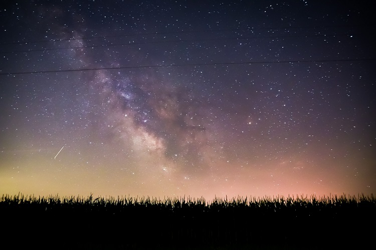 In His Own Words: Twins OF Prospect Jacob Pearson - Minor Leagues ...