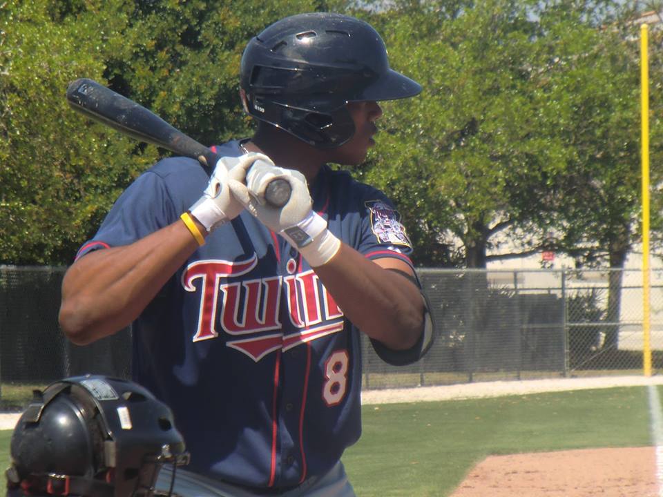 Adam Walker: Power and Potential - Minor Leagues - Twins Daily