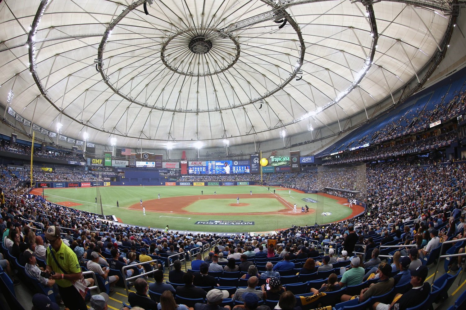 Let's Road Trip 2024: Trip #12 - From the Trop to the Kauff, Tampa and ...