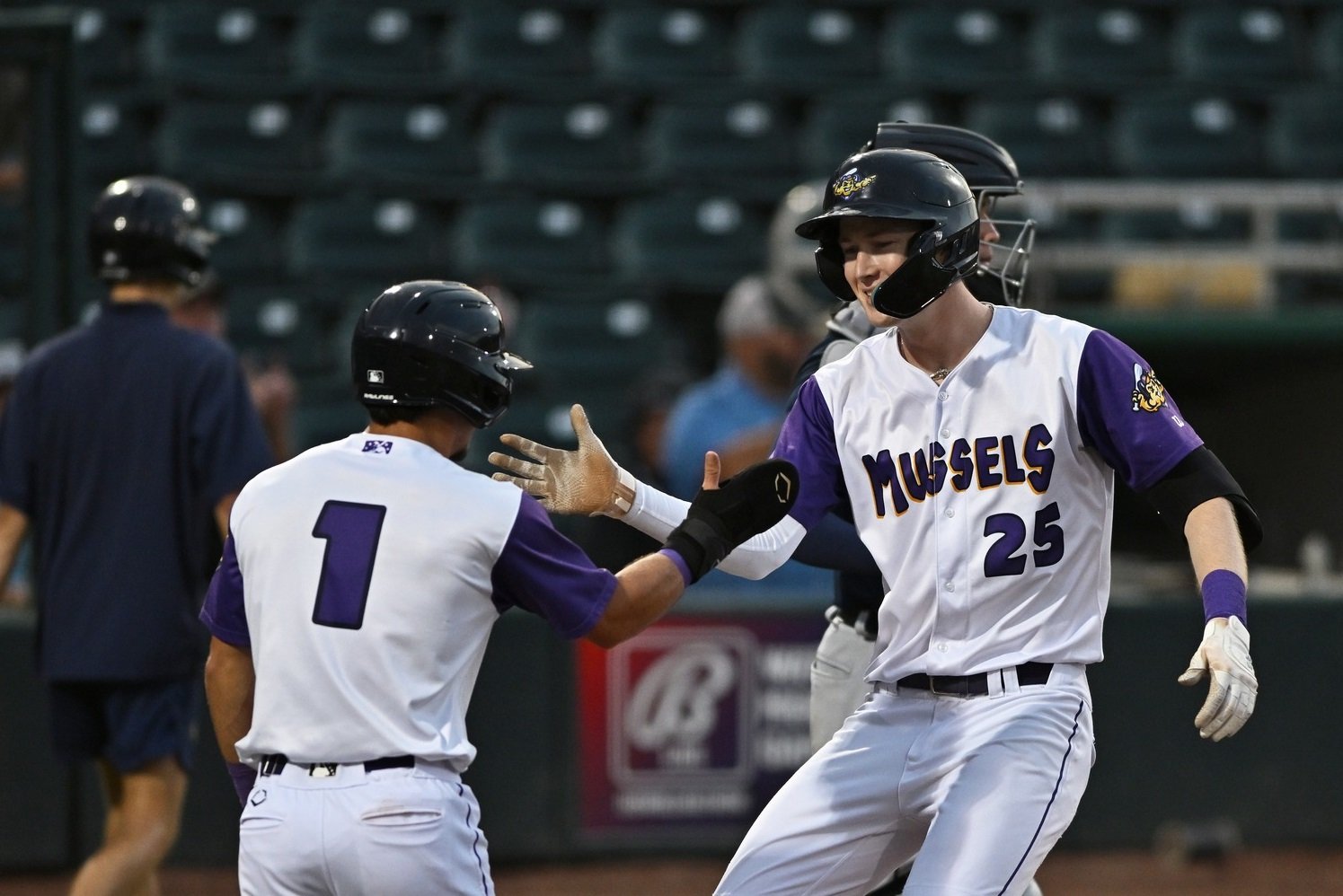 Minor League Report (8/25): Y'all Got Any Runs? - Minor Leagues - Twins ...