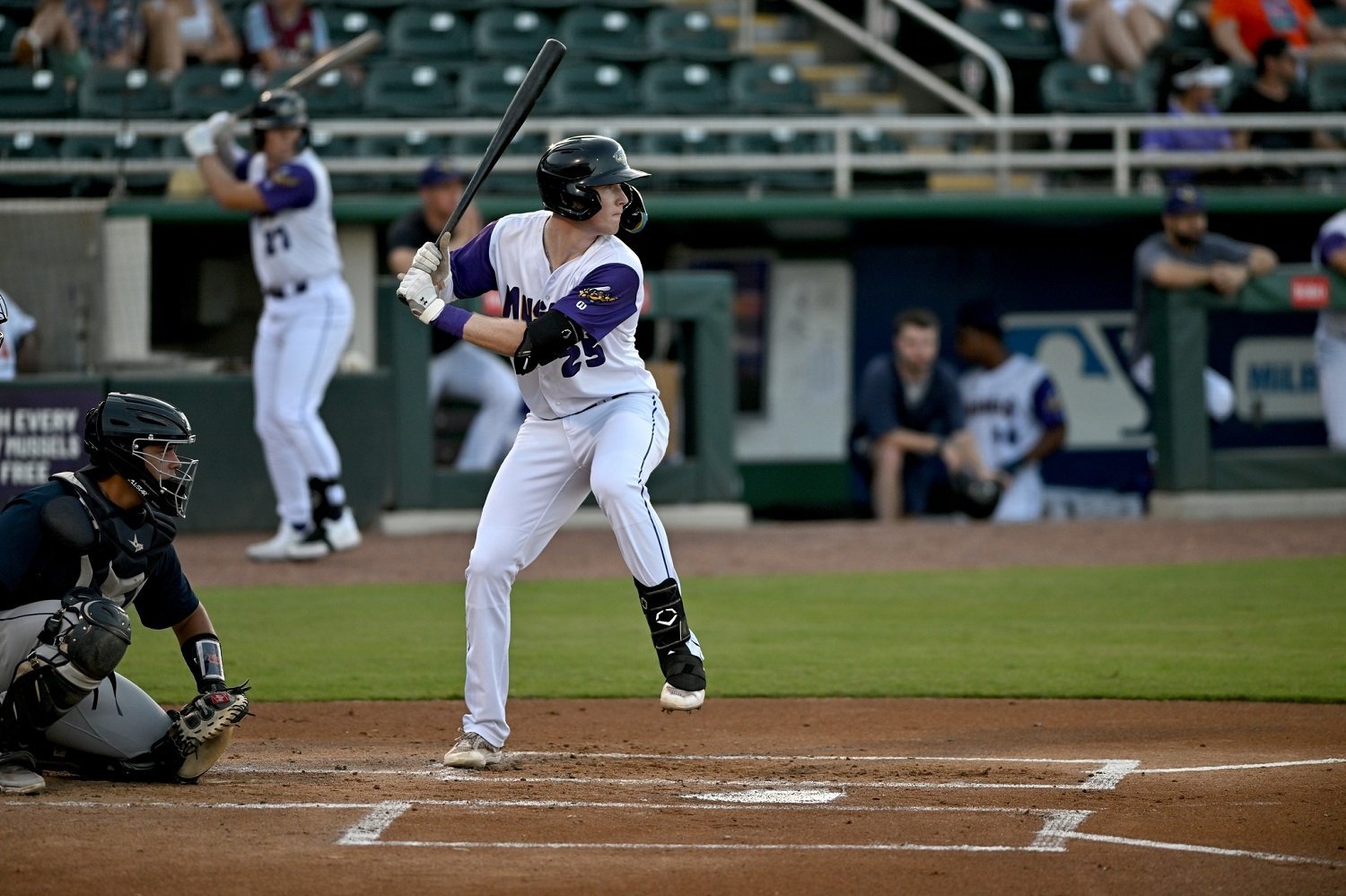 Twins Minor League Report (9/3): Langenberg Dazzles, Winokur Wallops ...